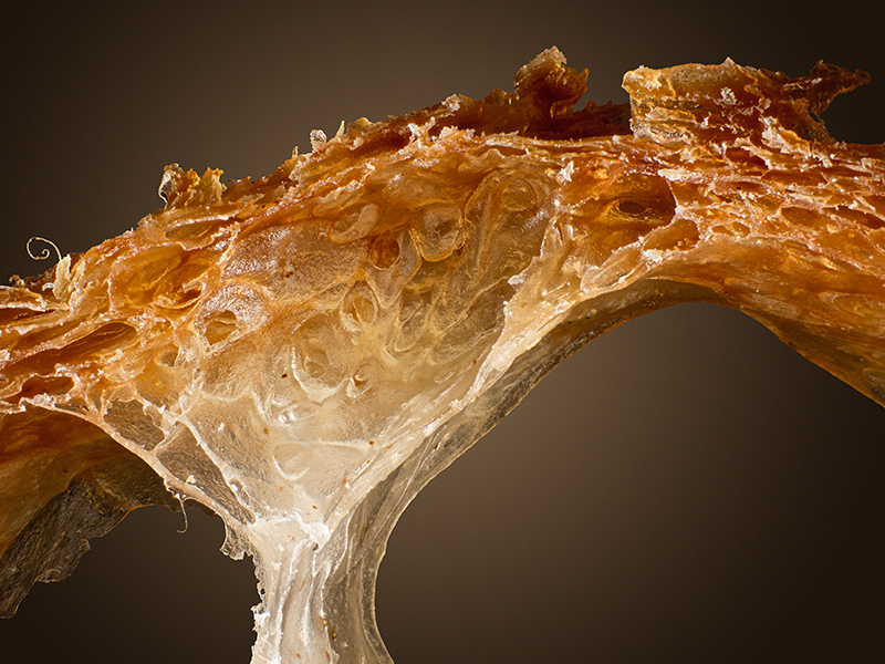 Crust - Modernist Cuisine Gallery