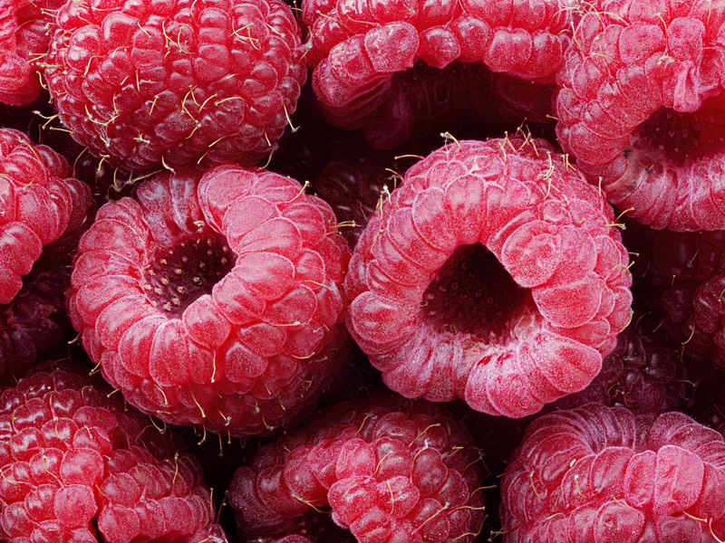 Rubus - Modernist Cuisine Gallery